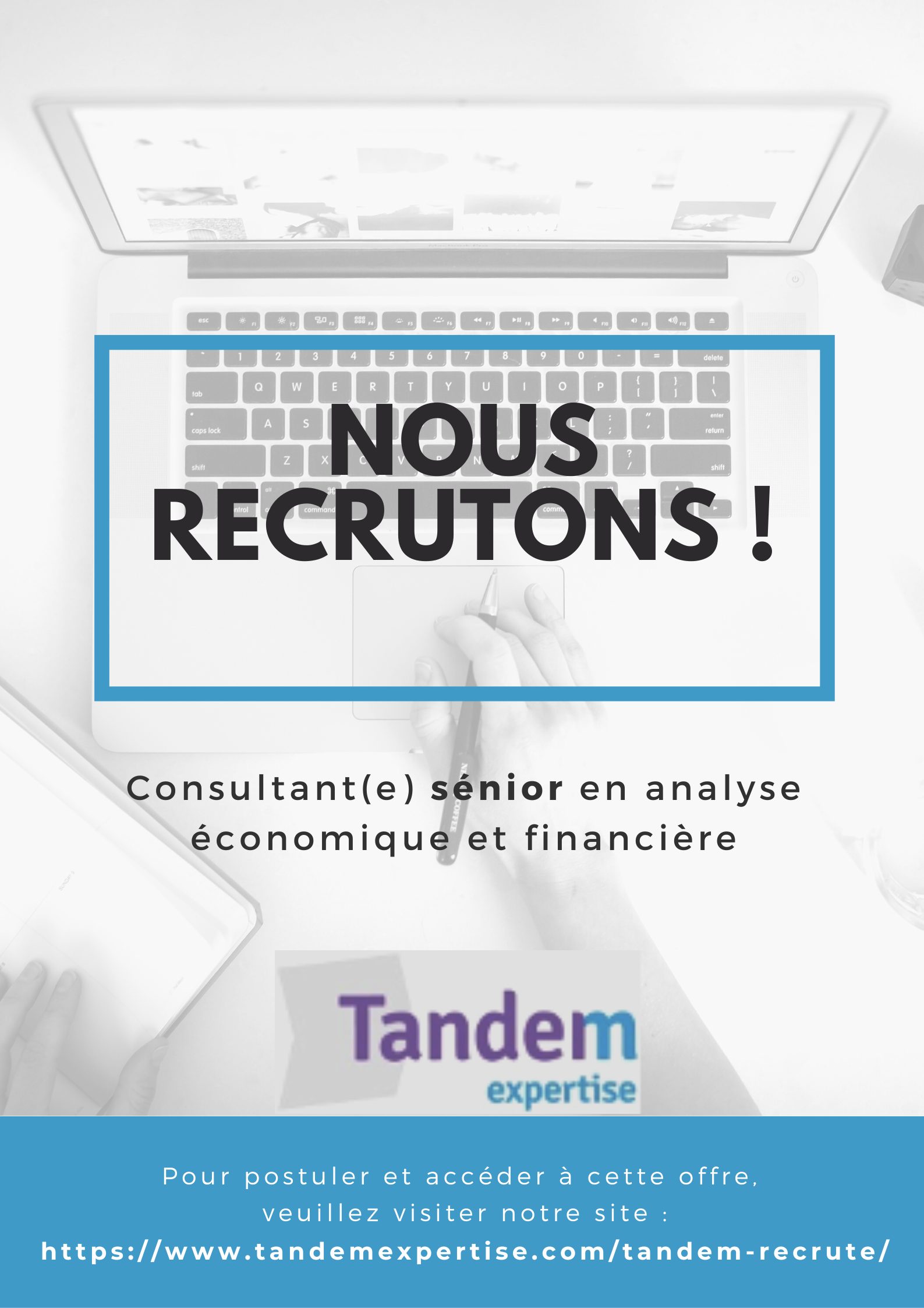 Tandem Expertise recrute un.e consultant.e Eco/Fi senior - Tandem expertise